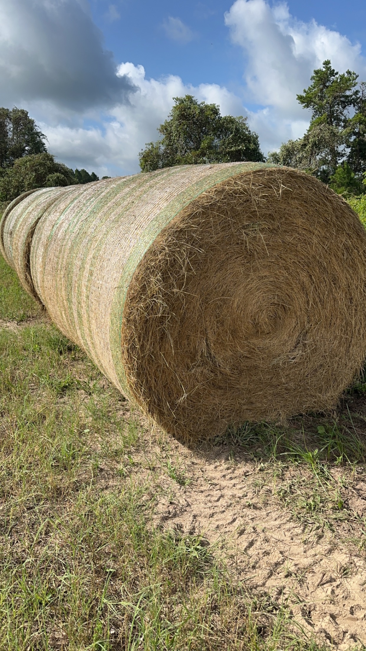 Hay Variety GRASS Large Round Bale No